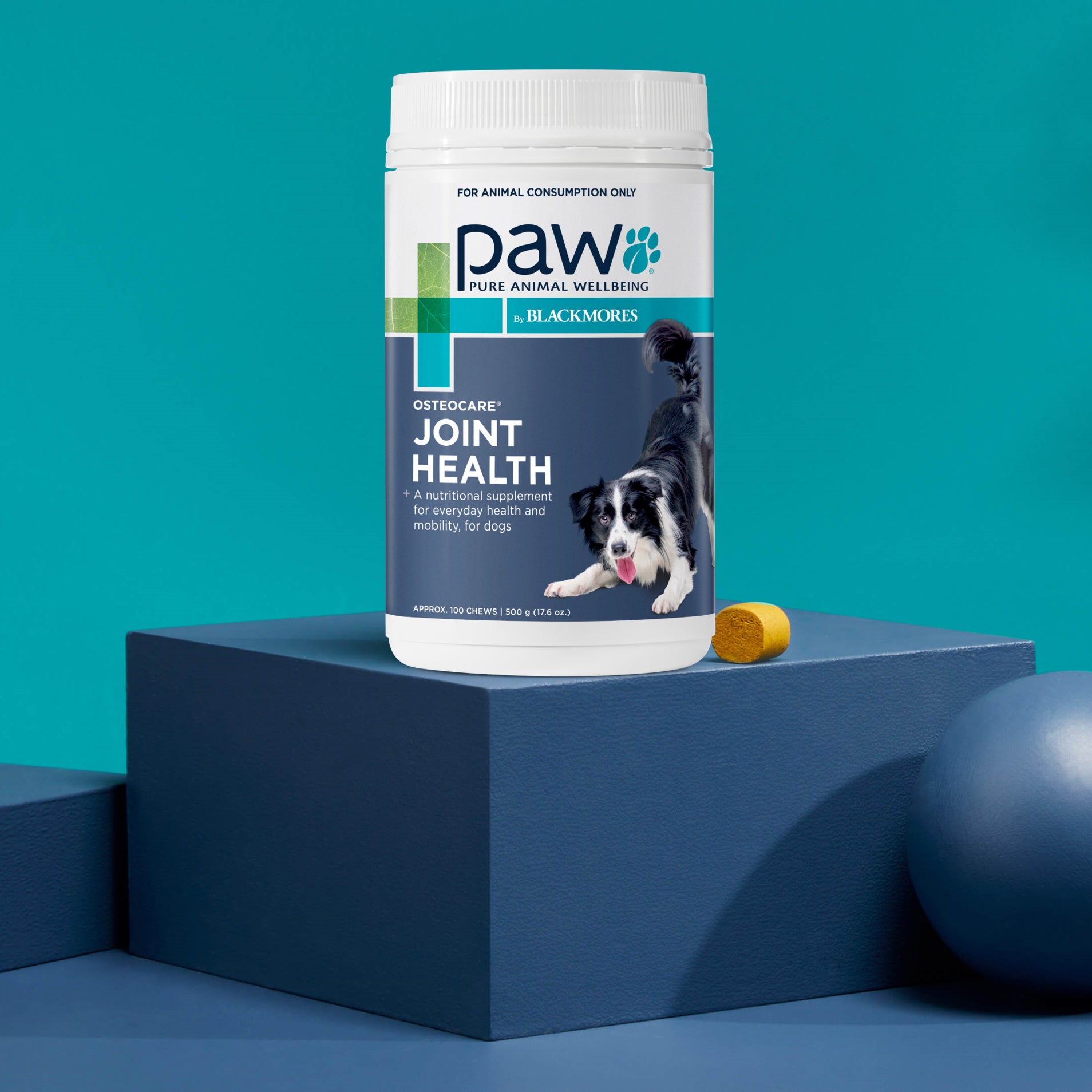 Support Your Dog’s Joint Health with PAW Osteocare | Paws Club