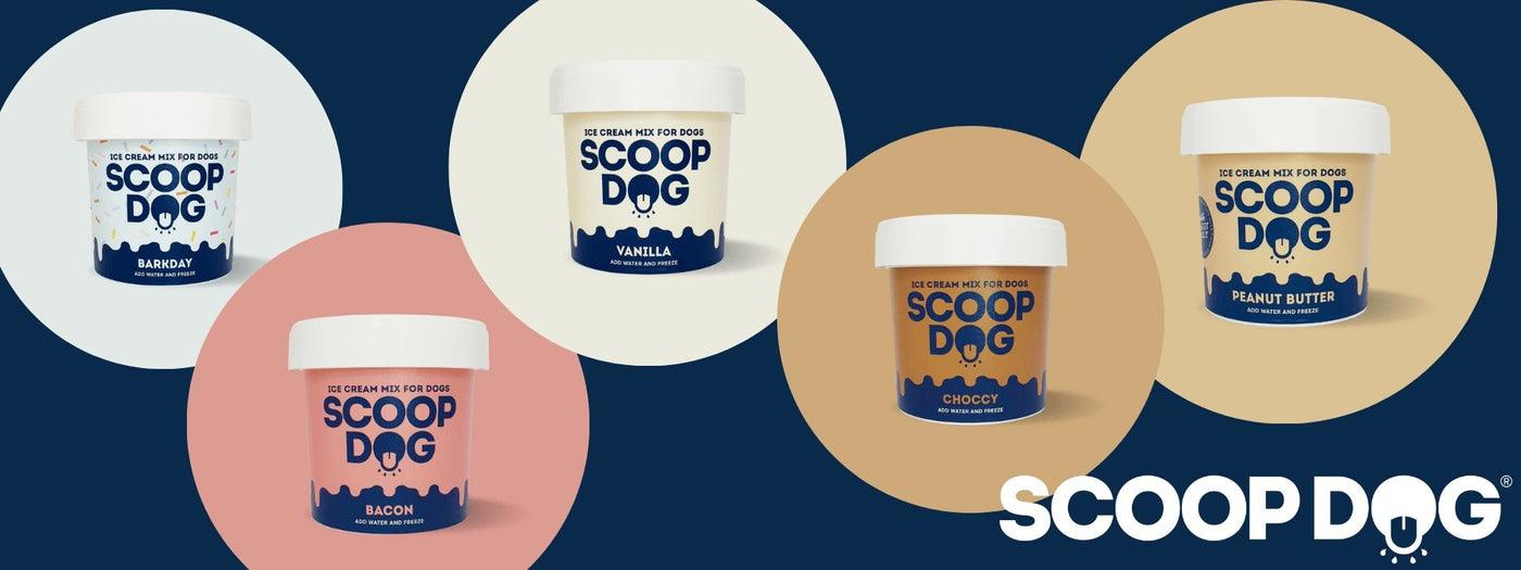 Scoop Dog Ice Cream - Natural & Delicious | PAWS CLUB