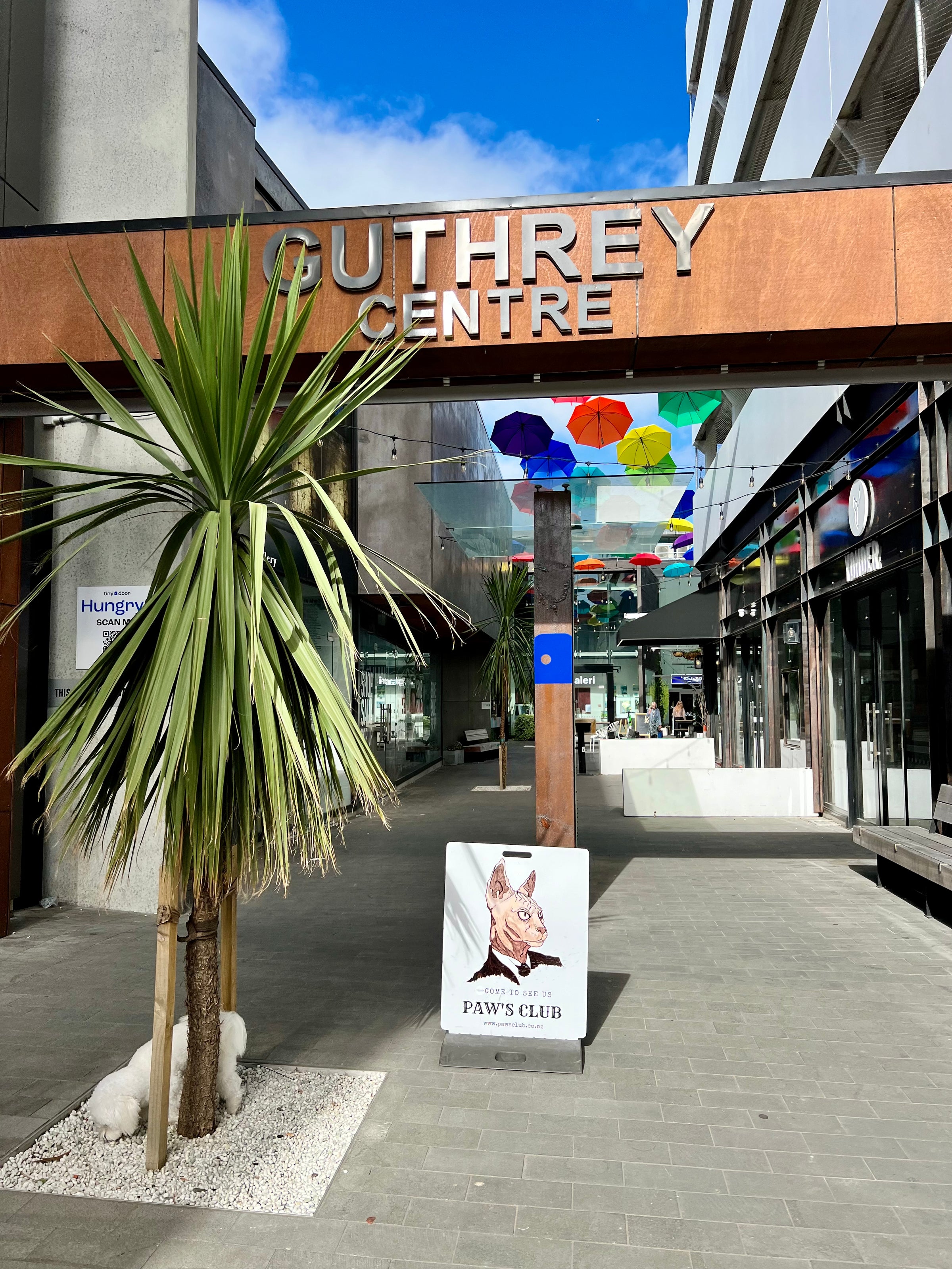 PAWS CLUB PET STORE | Upgrade your pet's lifestyle