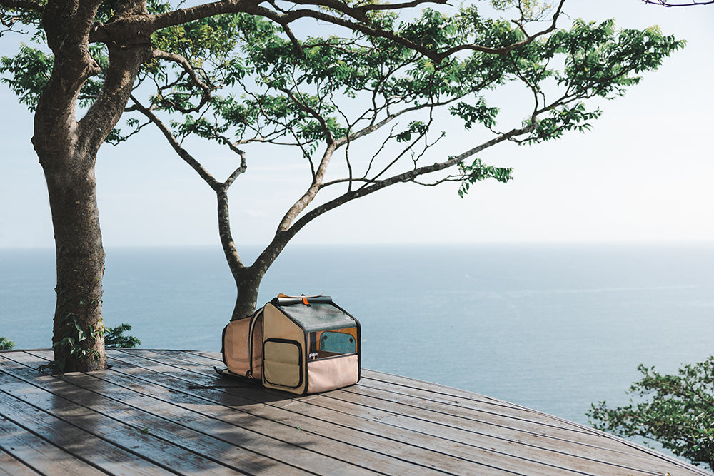 PAWS CLUB PET STORE | Upgrade your pet's lifestyle