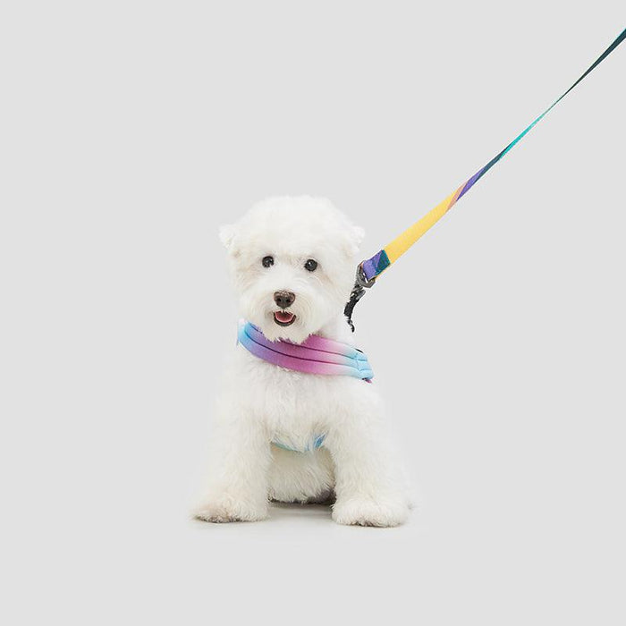 Gradient Comfort PIDAN Dog Harness for Small & Medium Dogs | PAWS CLUB